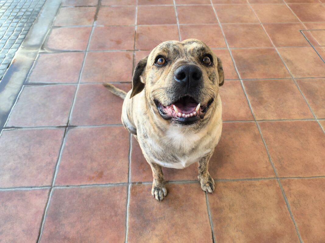 (Mini-Review) Motorola RAZR 50: Finalmente de volta! | Leak