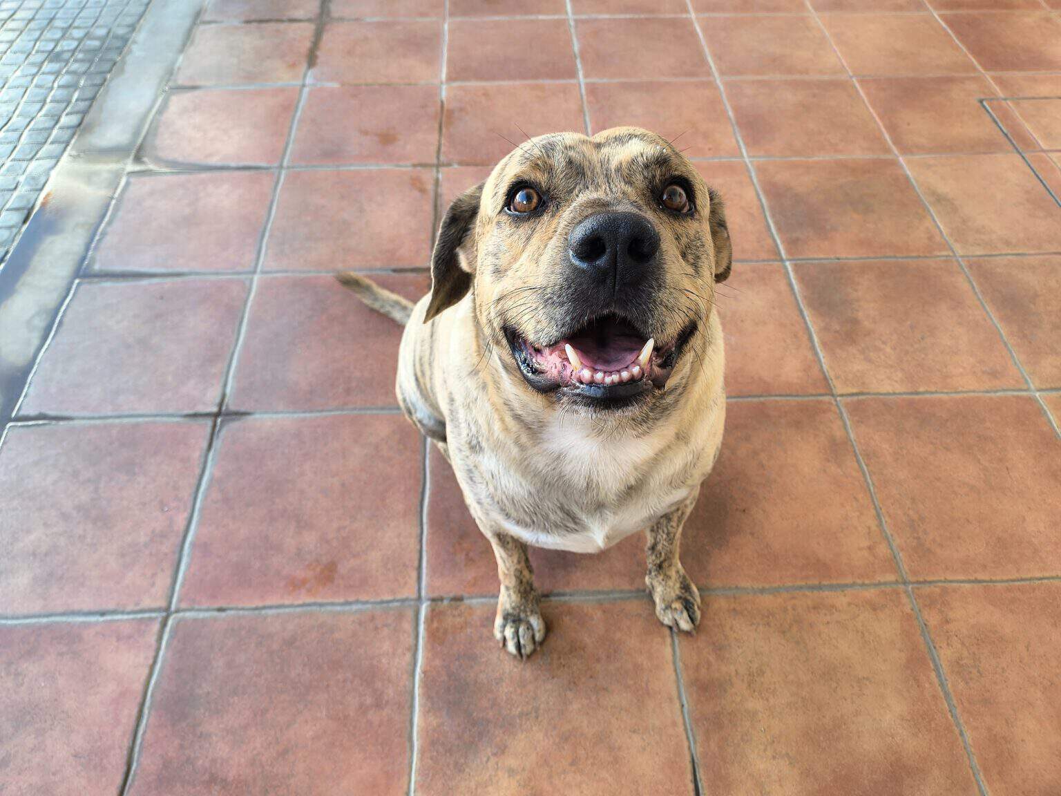 (Mini-Review) Motorola RAZR 50: Finalmente de volta! | Leak